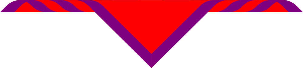 1st Coventry (Allesley Village) – Coventry Scouts