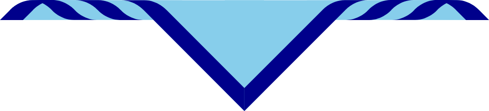 46th Coventry (Allesley Park) – Coventry Scouts